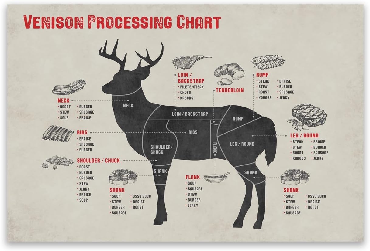 Amazon.com: FHMDREUP Meat Cutting Poster Venison Deer Butcher ...