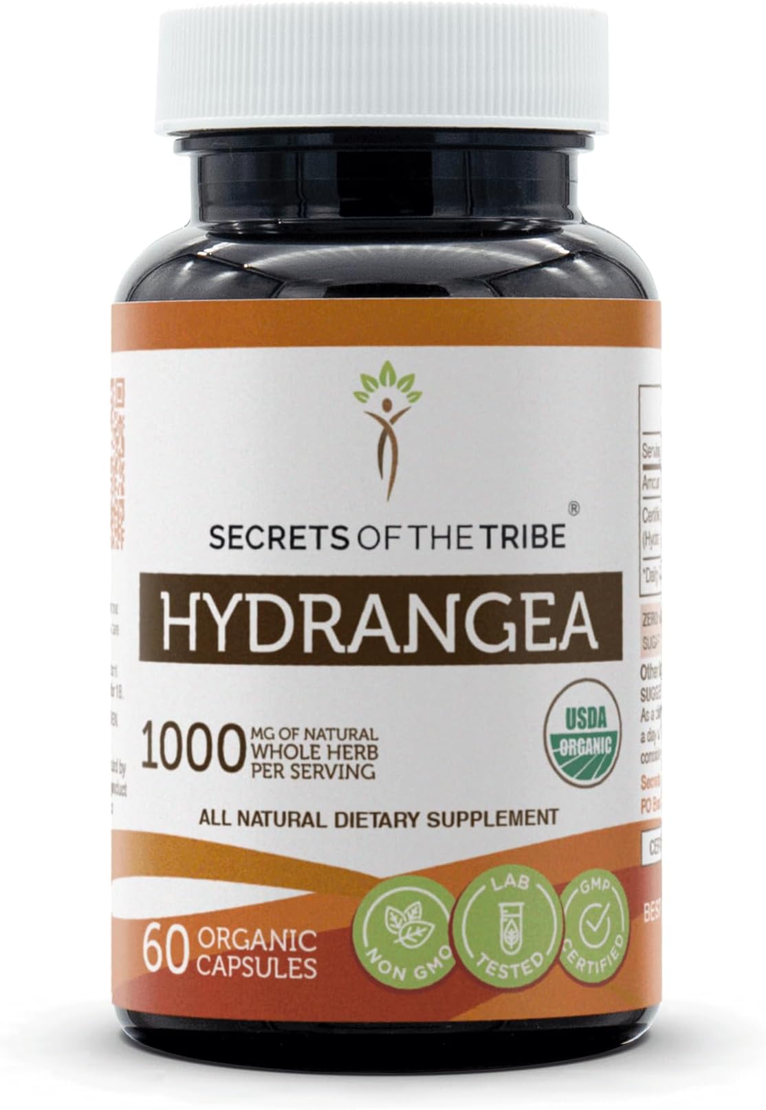 Amazon.com: Herb Pharm Hydrangea Liquid Extract for Urinary System ...