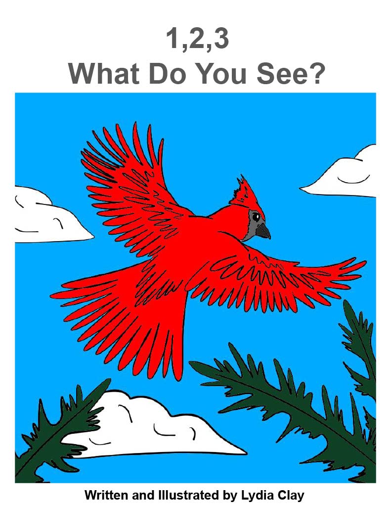 1, 2, 3 What Do You See? eBook : Clay, Lydia: Amazon.co.uk: Kindle Store