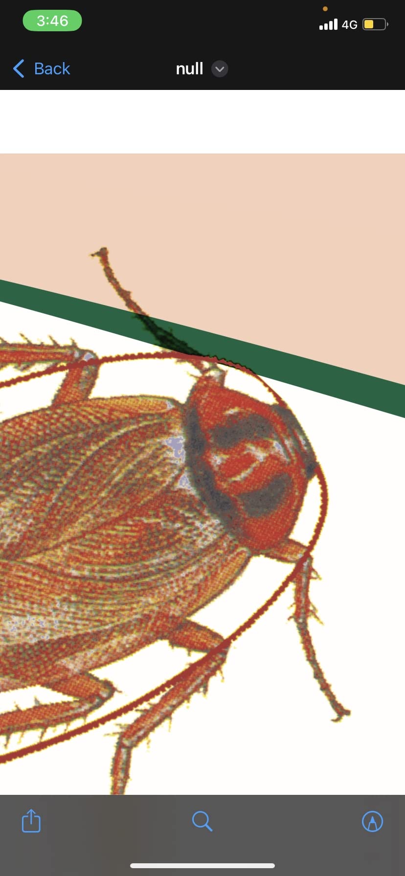 Smart Gel Cockroach Tube | Made with Lemongrass, Cedarwood & Neem | Eco ...