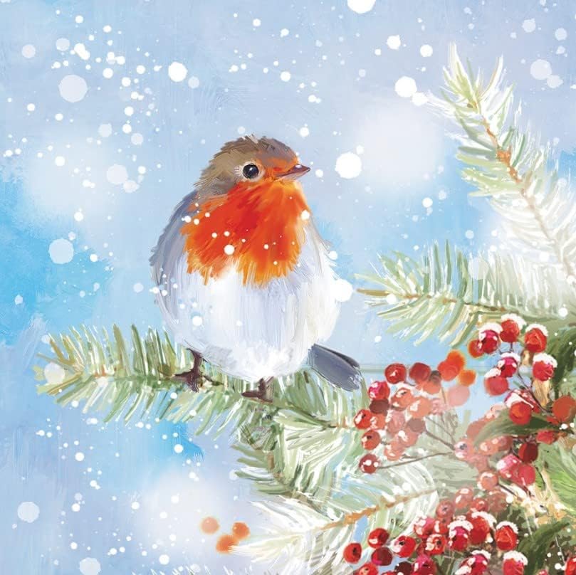 Charity Christmas Cards - Robin Snow Scenes - Eco-Friendly and ...