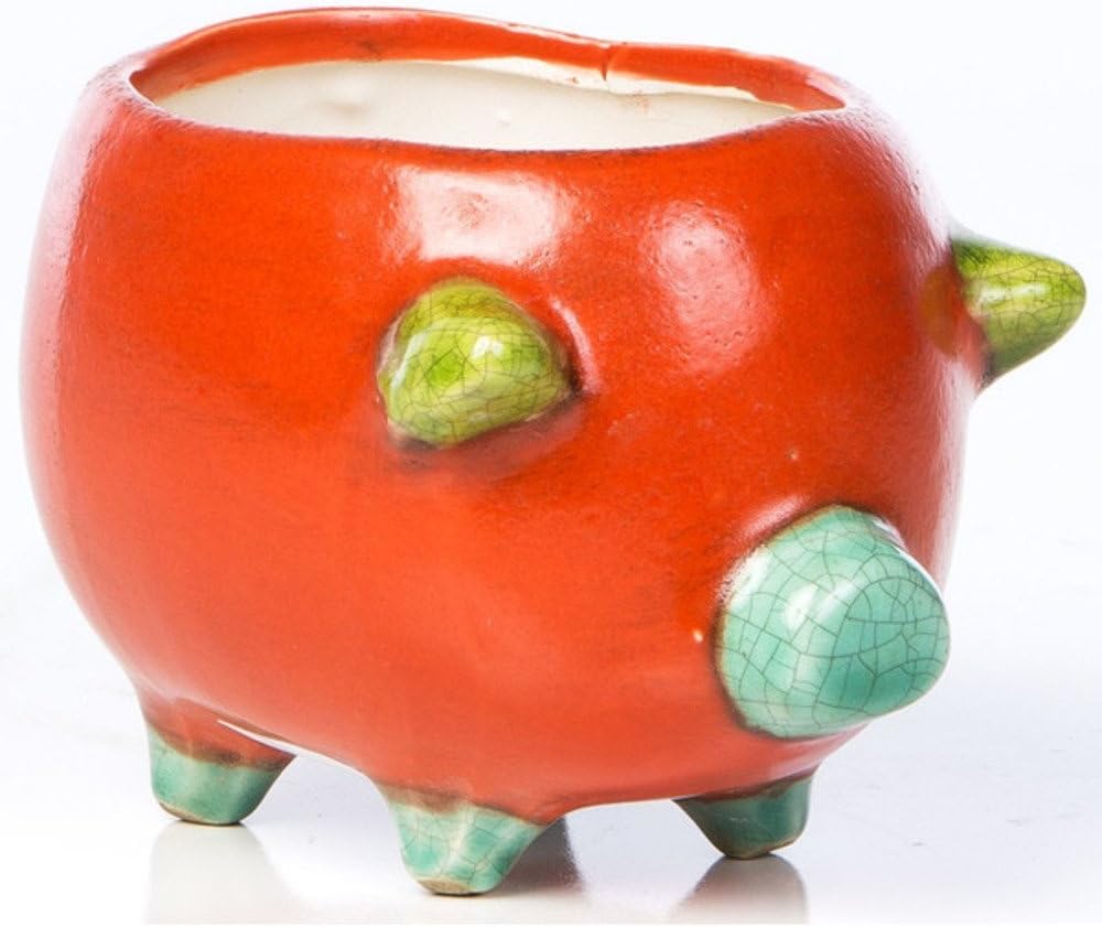 Amazon.com : Ceramic Pig Planter : Patio, Lawn & Garden