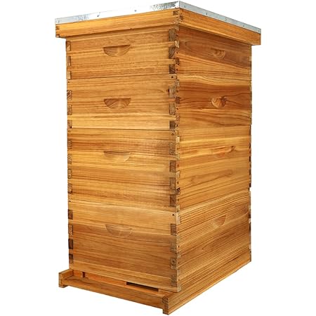 Amazon.com : MayBee 10-Frame Langstroth Beehive Dipped in 100% Beeswax ...