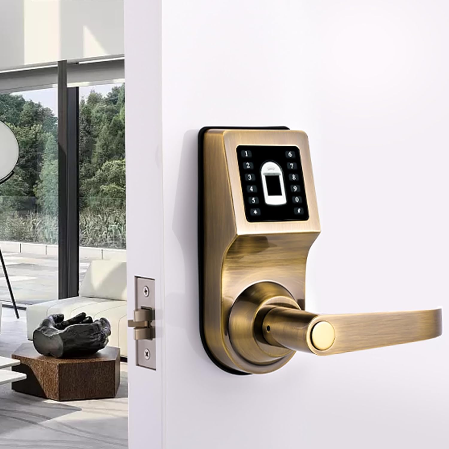 GOODUM Door Locks with Handle, keyless Door Locks, biometric Locks ...