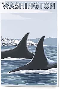 Amazon.com: Lantern Press 12x18 Inch Art Print, Orca Fins and Snow ...