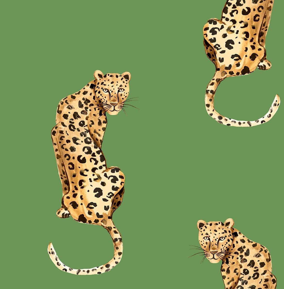King Cheetah Wallpaper