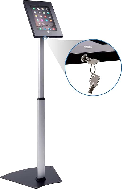 Amazon.com: ipad lock box