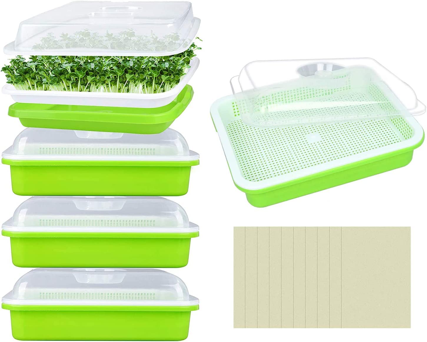 5 Pack Green Seed Sprouter Trays- Soil-Free Cultivation Germination ...