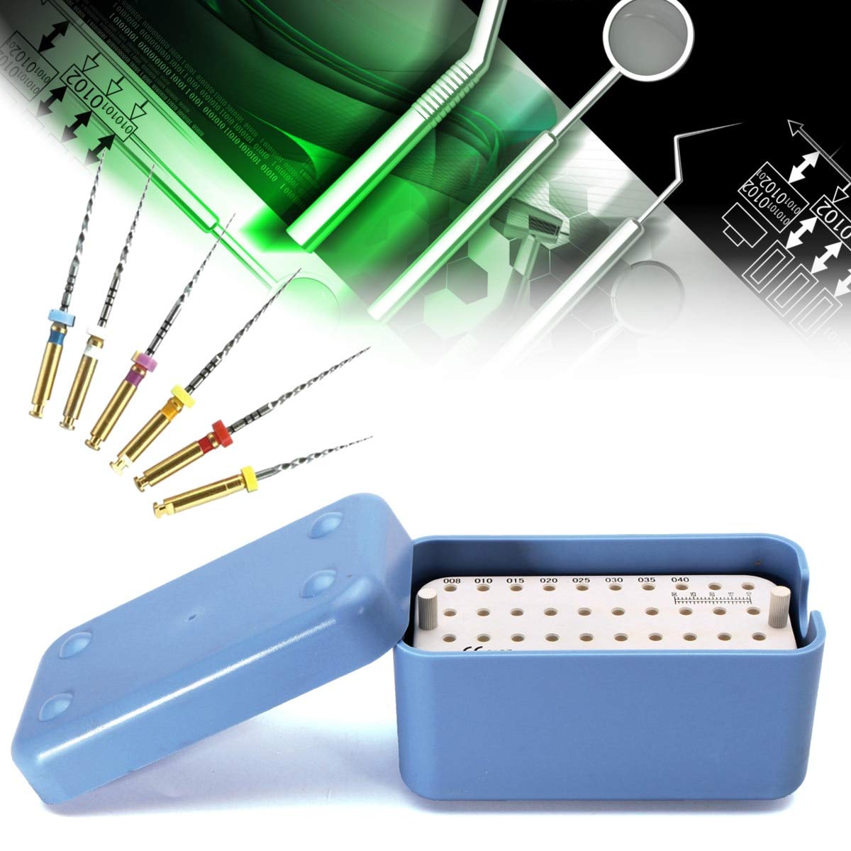 Buy Christzo 40 Holes Dental Plastic Endo Box With A Ruler Files Bur ...