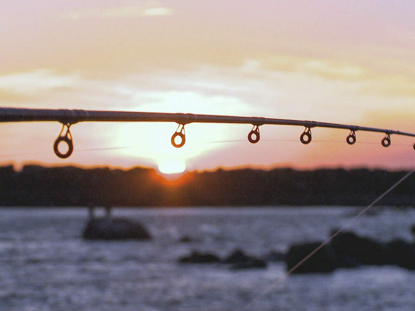 Watch Body Invaders - Season 1 | Prime Video