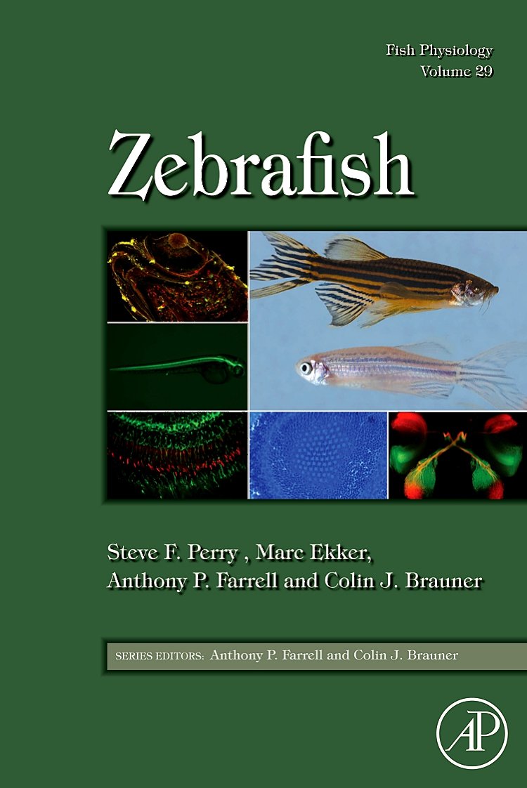 Fish Physiology: Zebrafish (Volume 29) (Fish Physiology, Volume 29 ...