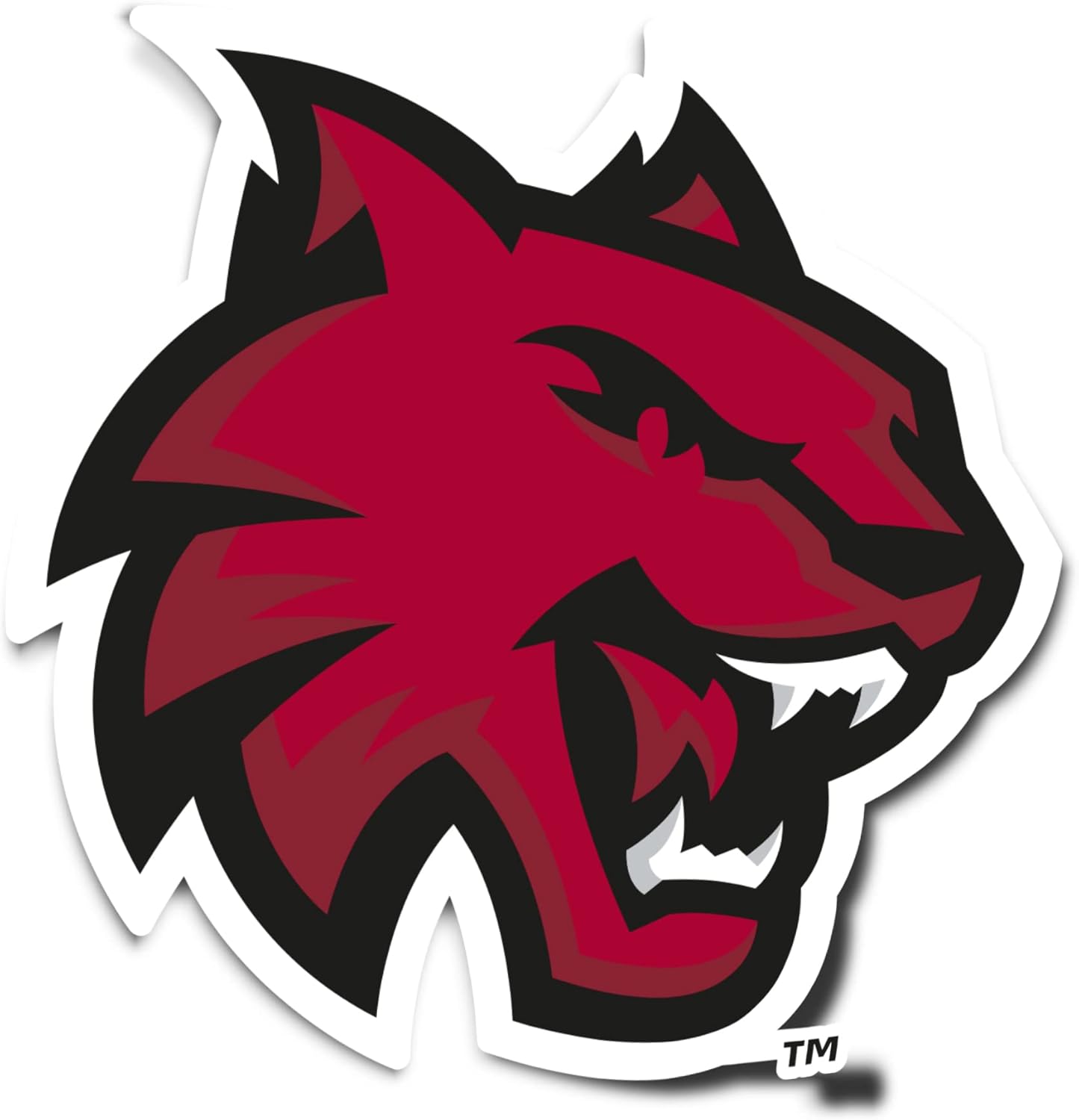 Amazon.com: Desert Cactus Central Washington University Sticker ...