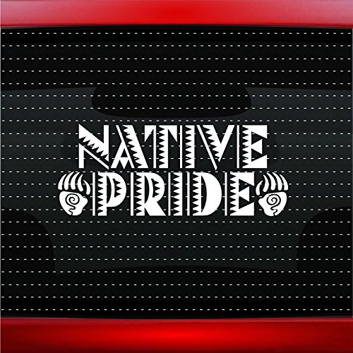 Amazon.com - Native Pride Indian Native American Car Sticker Truck ...