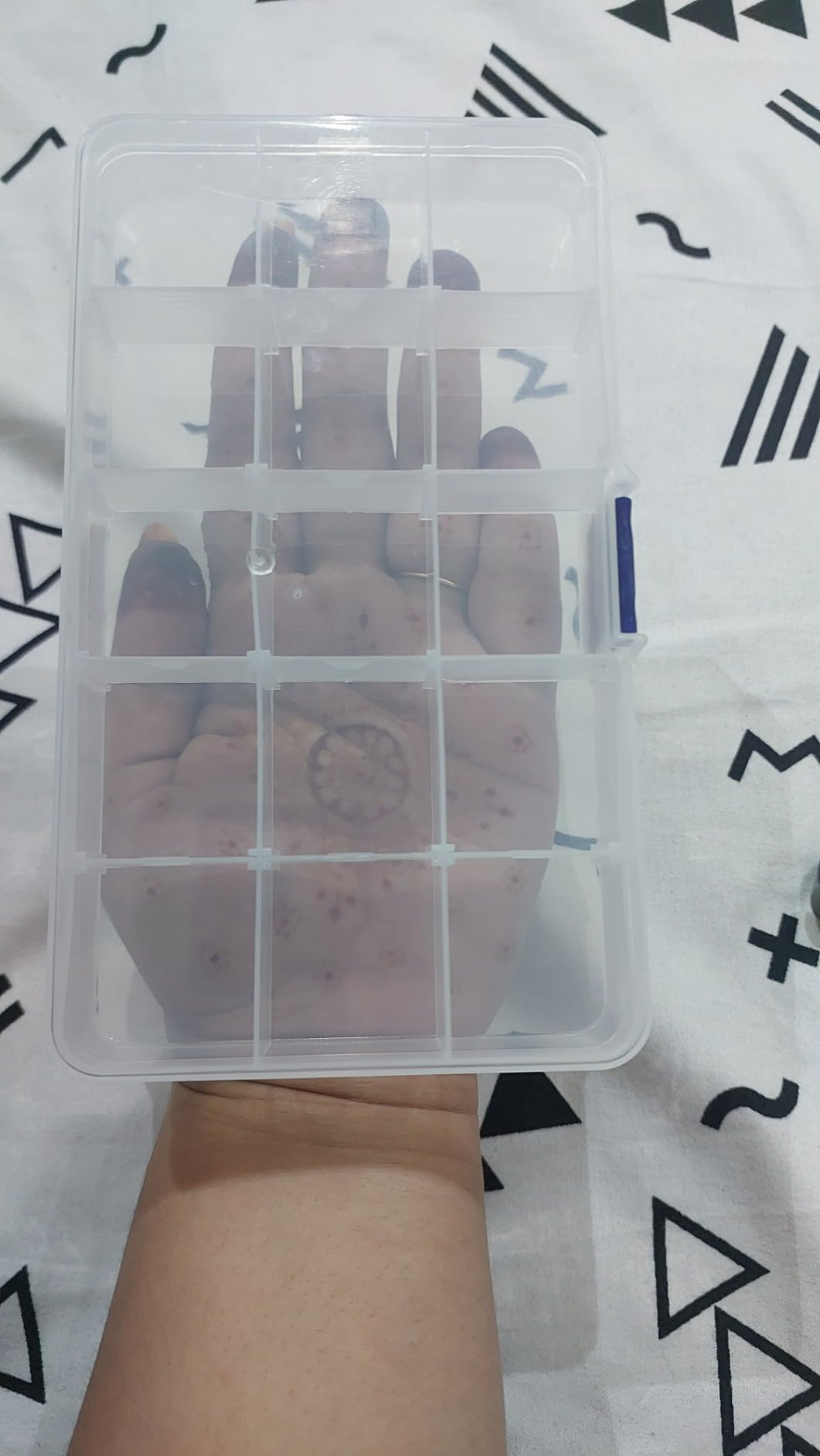 Drake plastic organiser box organizer 15 grid container jewelry box ...