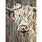 SYMON Cross Stitch Kits for Adults,Highland Cow,11CT Counted Printed ...