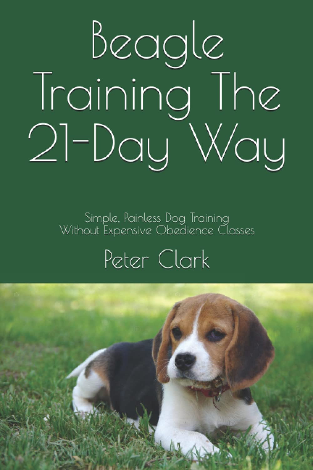 Are Beagles Expensive