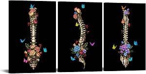 Amazon.com: iHAPPYWALL 3 Pieces Human Spine Wall Art Medical Anatomy ...