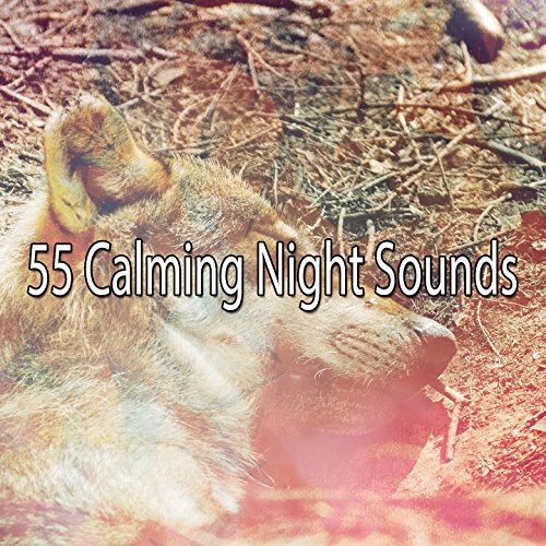 Amazon.com: 55 Calming Night Sounds : Nature Sounds Nature Music ...