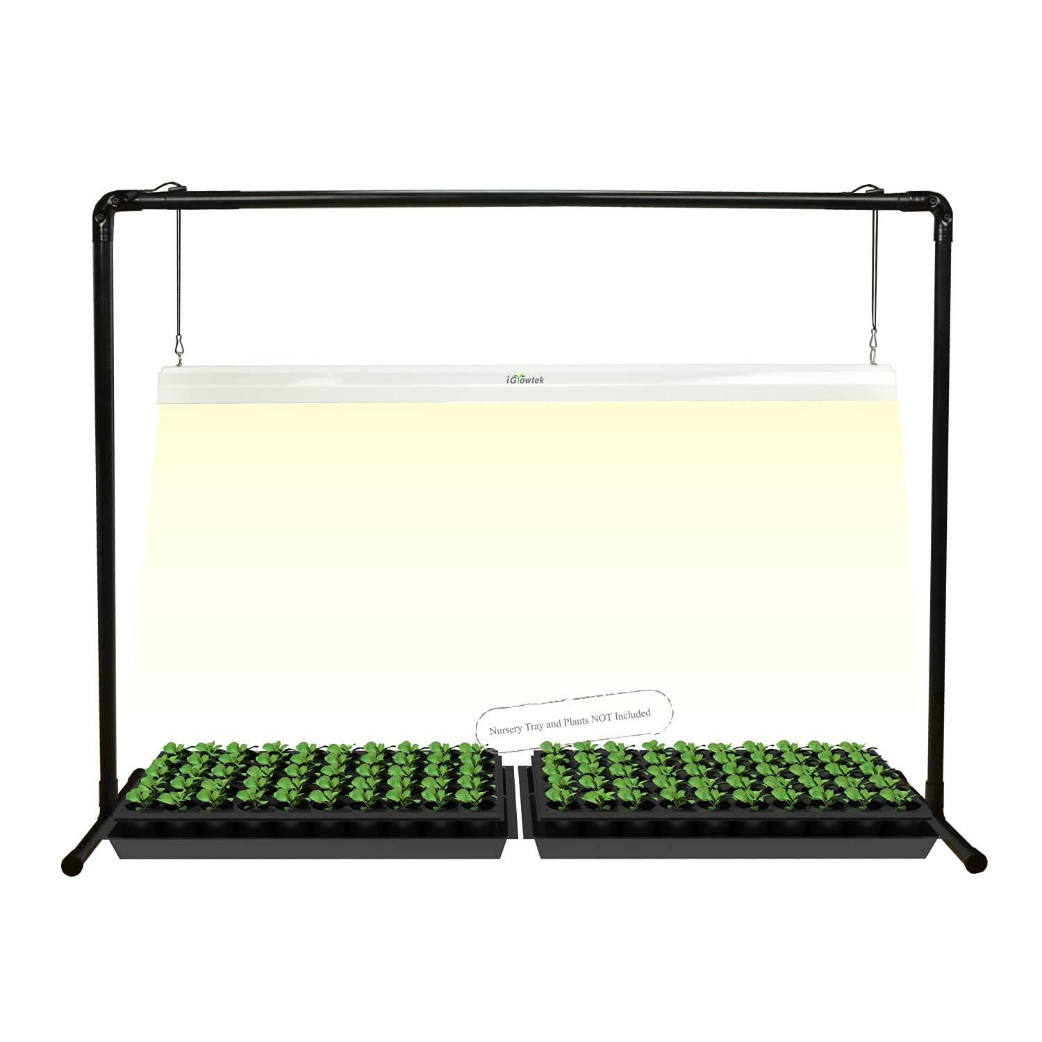 iGrowtek 4 feet 40W LED Grow Light Stand Rack for Seedling,Growing ...