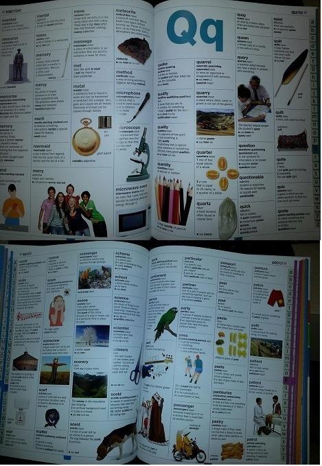 Children's Illustrated Dictionary (DK First Reference): DK ...