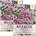 Amazon.com : Seed Needs, Pink Swamp Milkweed Seeds for Planting ...