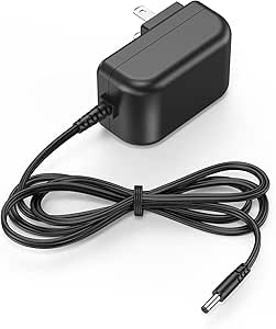 Amazon.com: HIENADTOR Charger Compatible with INSE S6 S6P S610 S6 Pro S660 S670 S6T S600 Stick ...