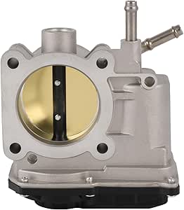 Amazon.com: RALBDX Electronic Throttle Body Compatible with 2009-2010 ...