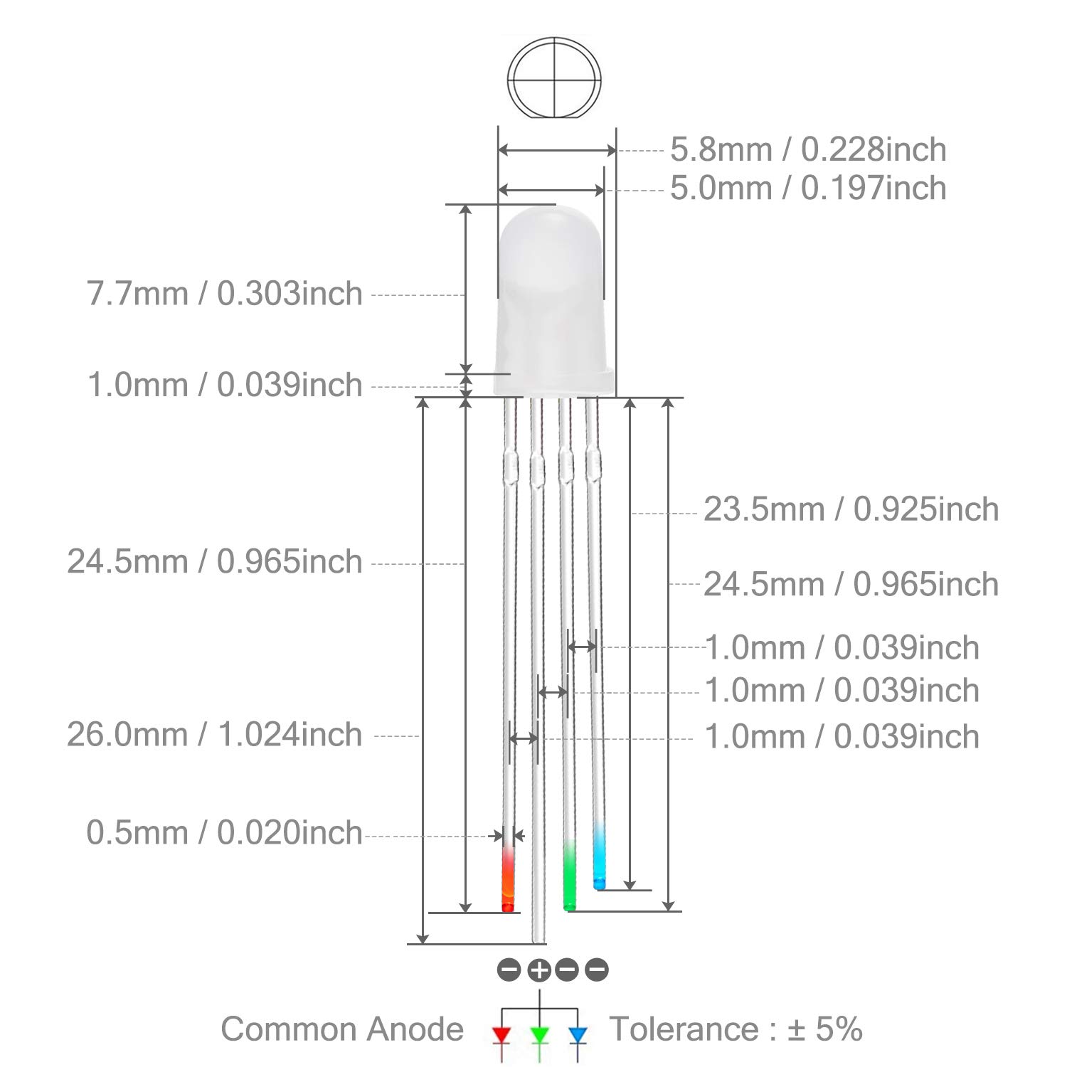 Snapklik.com : Chanzon 100 Pcs 5mm RGB Multicolor Diffused LED Diode ...