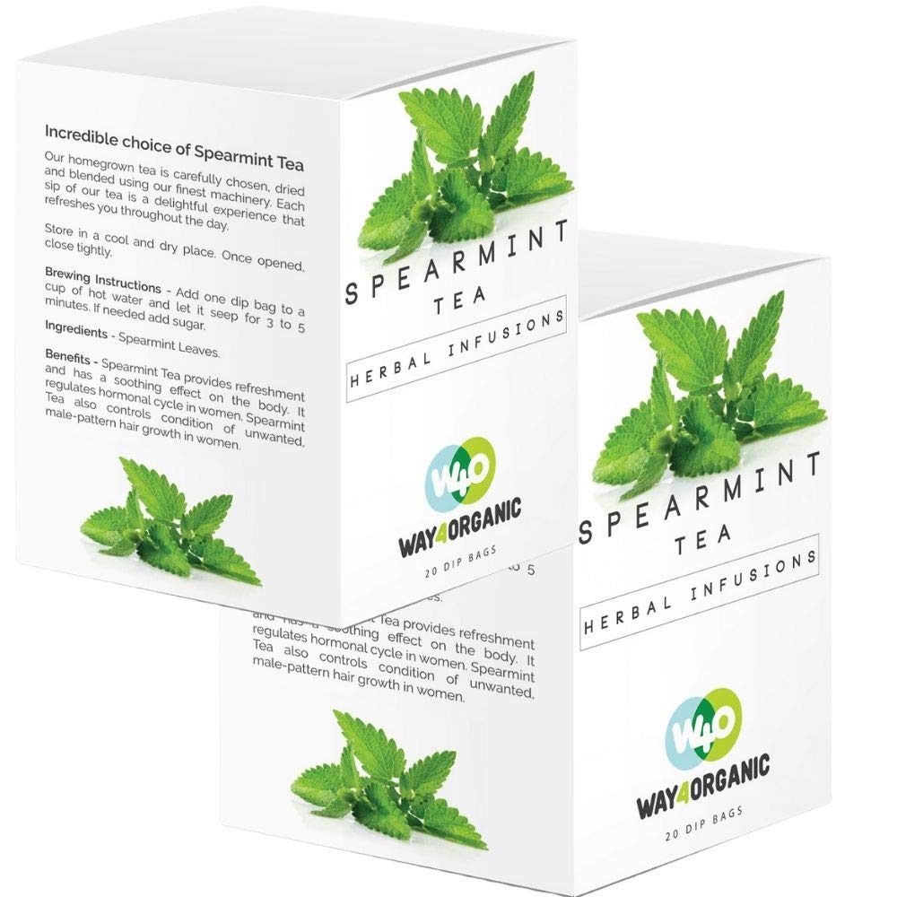 Way4Organic Spearmint Tea 20 Dip bags Pack of 2 : Amazon.in: Grocery ...