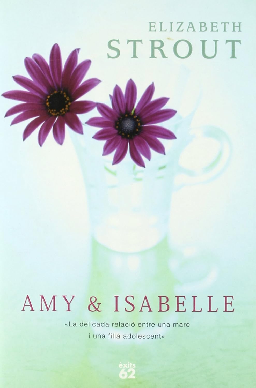 Amy & Isabelle: Strout, Elizabeth, Mauri Batlle, Anna: 9788429748604 ...