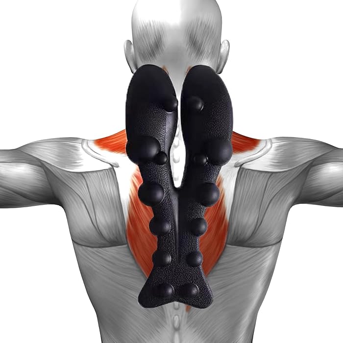 Buy Trapezius Trigger Point Massage Tool GB20 Acupressure for TMJ Pain ...