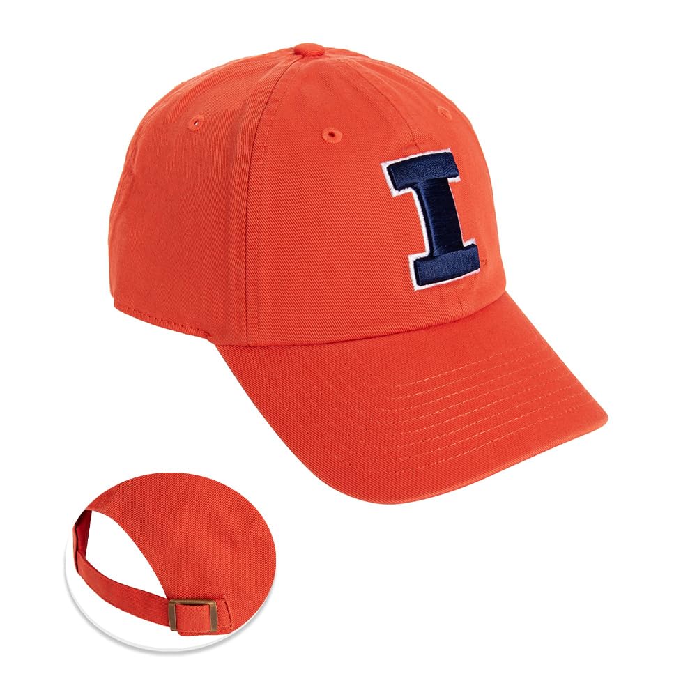 Desert Cactus University of Illinois Baseball Hat Fighting Illini U of ...