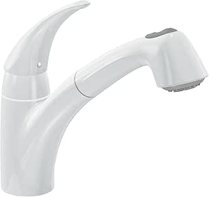 Amazon.com: Moen 7560W Extensa One-Handle Low Arc Pullout Kitchen ...