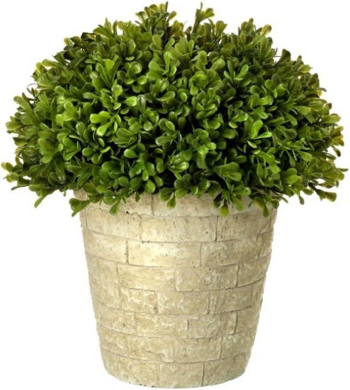 Amazon.com - Regency International PL.PTD Spring Boxwood Dome Topiary ...