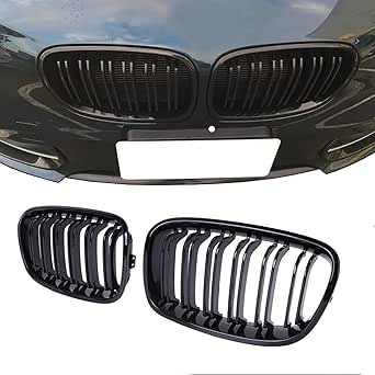 Gangying F20 Kidney Black Radiator Grill Stripes Suitable for BMW 1 ...