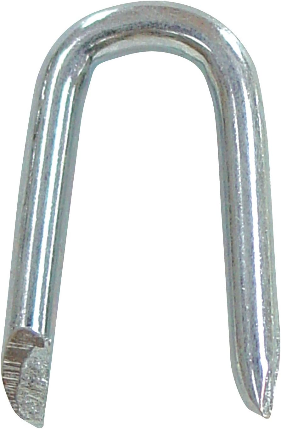 Amazon.com: Hillman No. 11 x 1-1/4 in. L Galvanized Steel Double Point ...