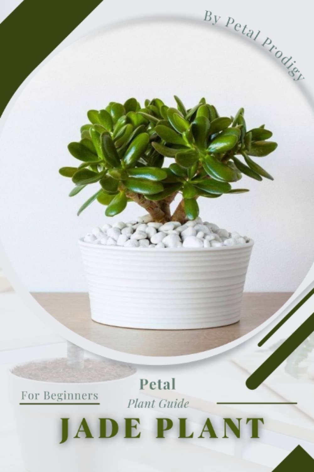 Jade Plant: Prodigy Petal, Plant Guide: Prodigy, Petal: 9798386748531: Amazon.com: Books