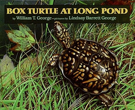 Box Turtle at Long Pond: George, William T., George, Lindsay Barrett ...