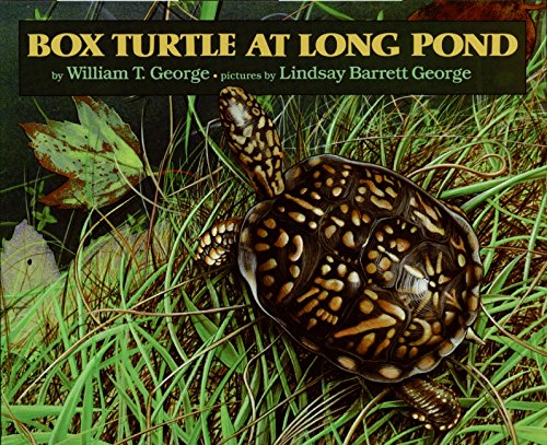 Box Turtle at Long Pond: George, William T., George, Lindsay Barrett ...
