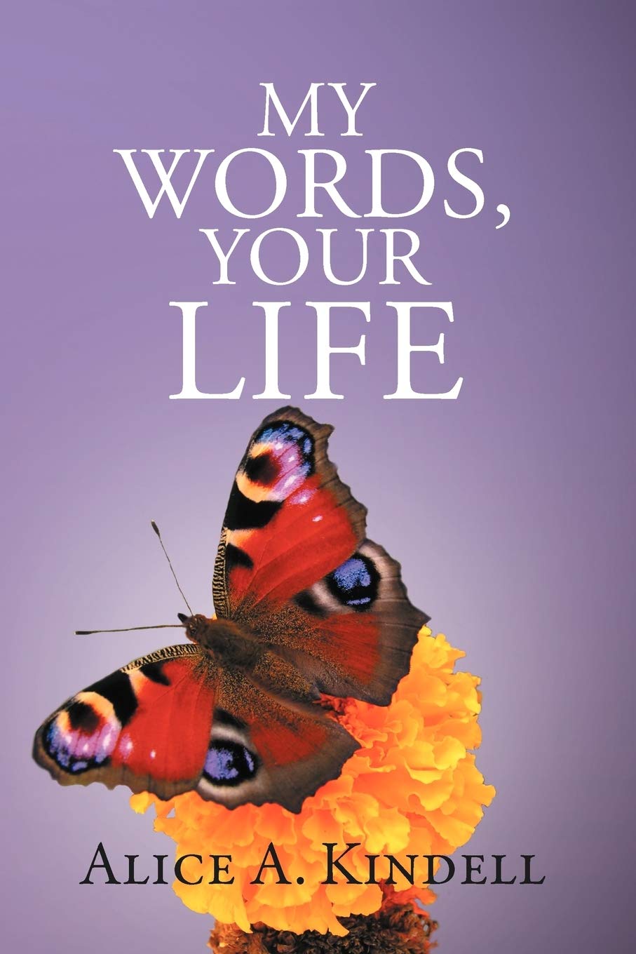 Alice Is My Life In Words Wallpapers