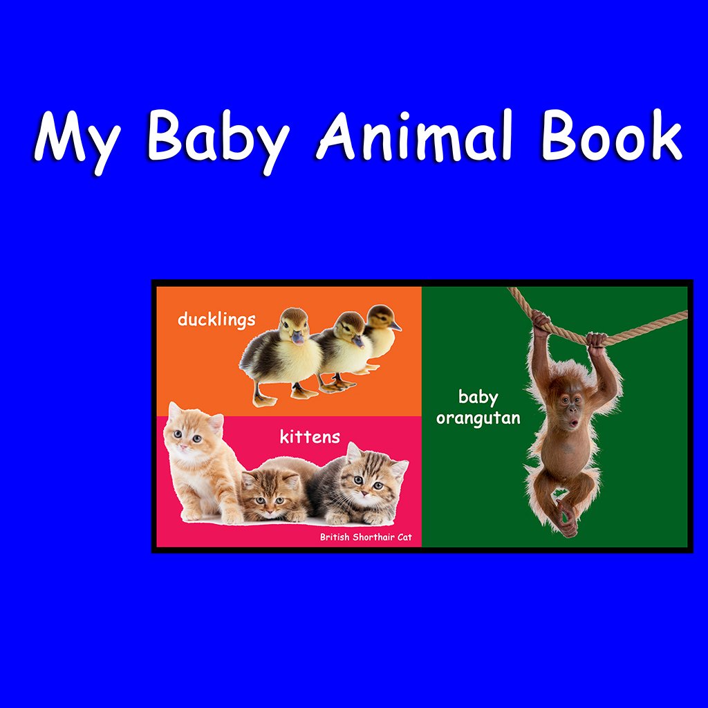 My Baby Animal Book (Baby Animals 1) - Kindle edition by Hale, Shannon ...