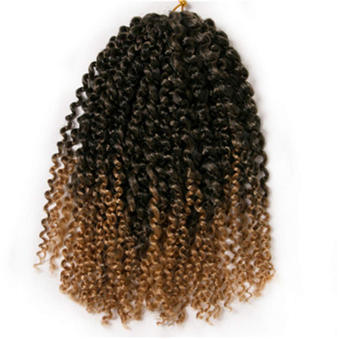Amazon.com : 1-10 Pack Crochet Braids 60G/Pack Synthetic 12 Inch Curly ...