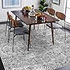 Amazon.com: vivorug 4x6 Rug, Stain Resistant Washable Rug for Living ...