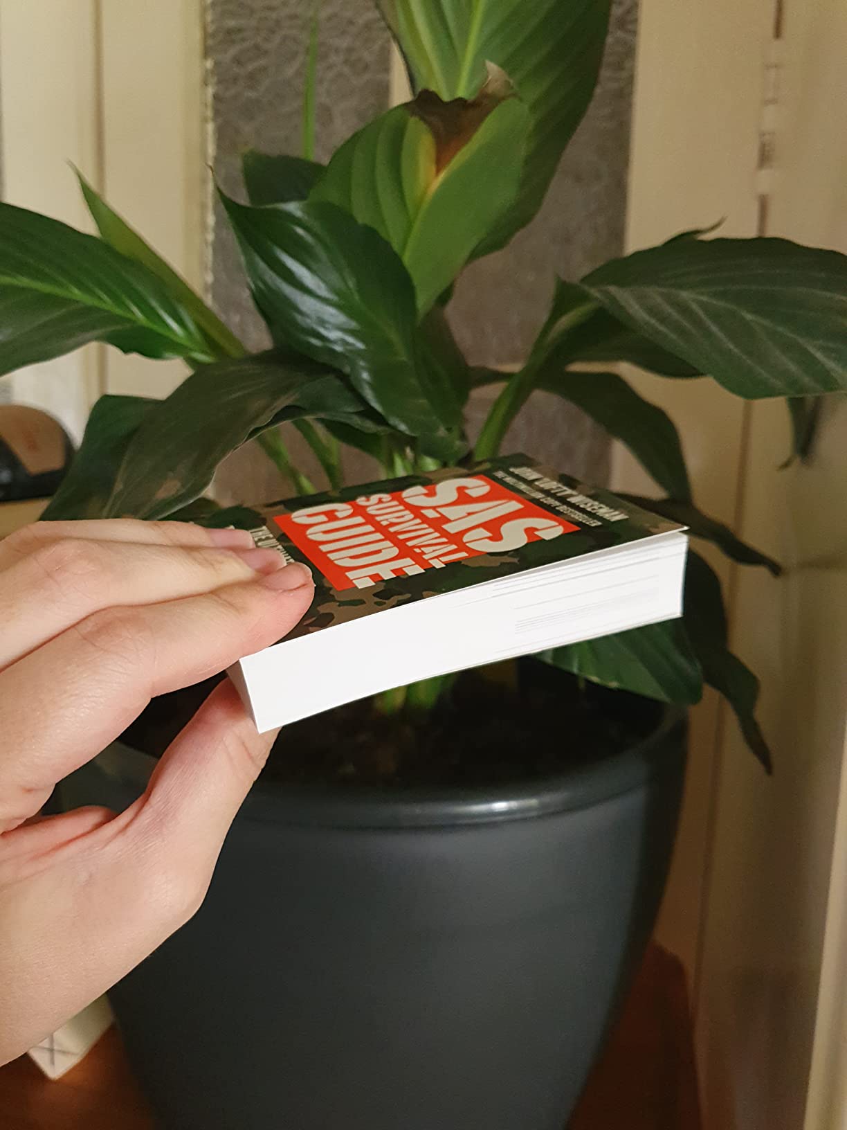 Collins Gem - SAS Survival Guide: How To Survive In The Wild, On Land ...