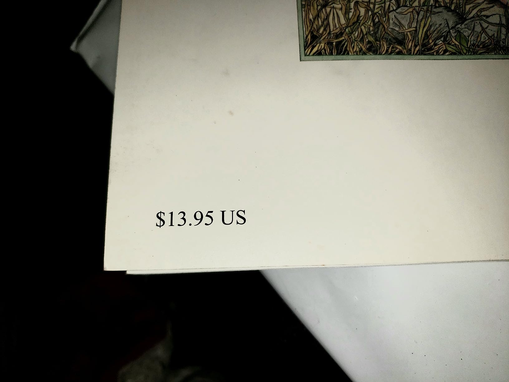 Alice And The Bird Lady: Tentas, Jane Grant: 9780965898362: Amazon.com ...