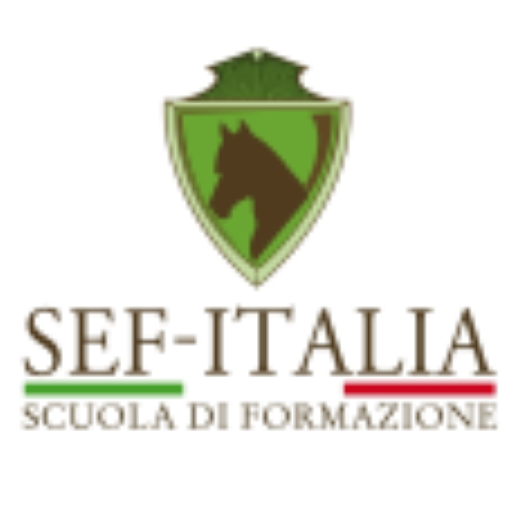 SEF Italia - Aplicativo na Amazon Appstore