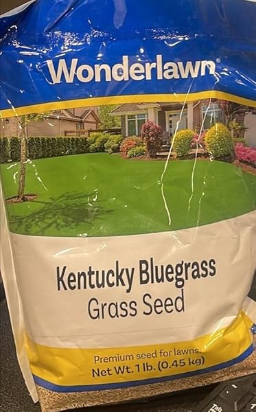 The 30 Best Kentucky Bluegrass Seeds of 2025 [Verified] - Cherry Picks