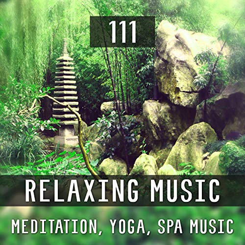 Amazon MusicでRelaxing Zen Music Therapyの111 Relaxing Music: Meditation ...