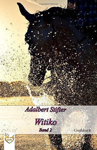 Buy Witiko: Band 2 Book Online at Low Prices in India | Witiko: Band 2 ...