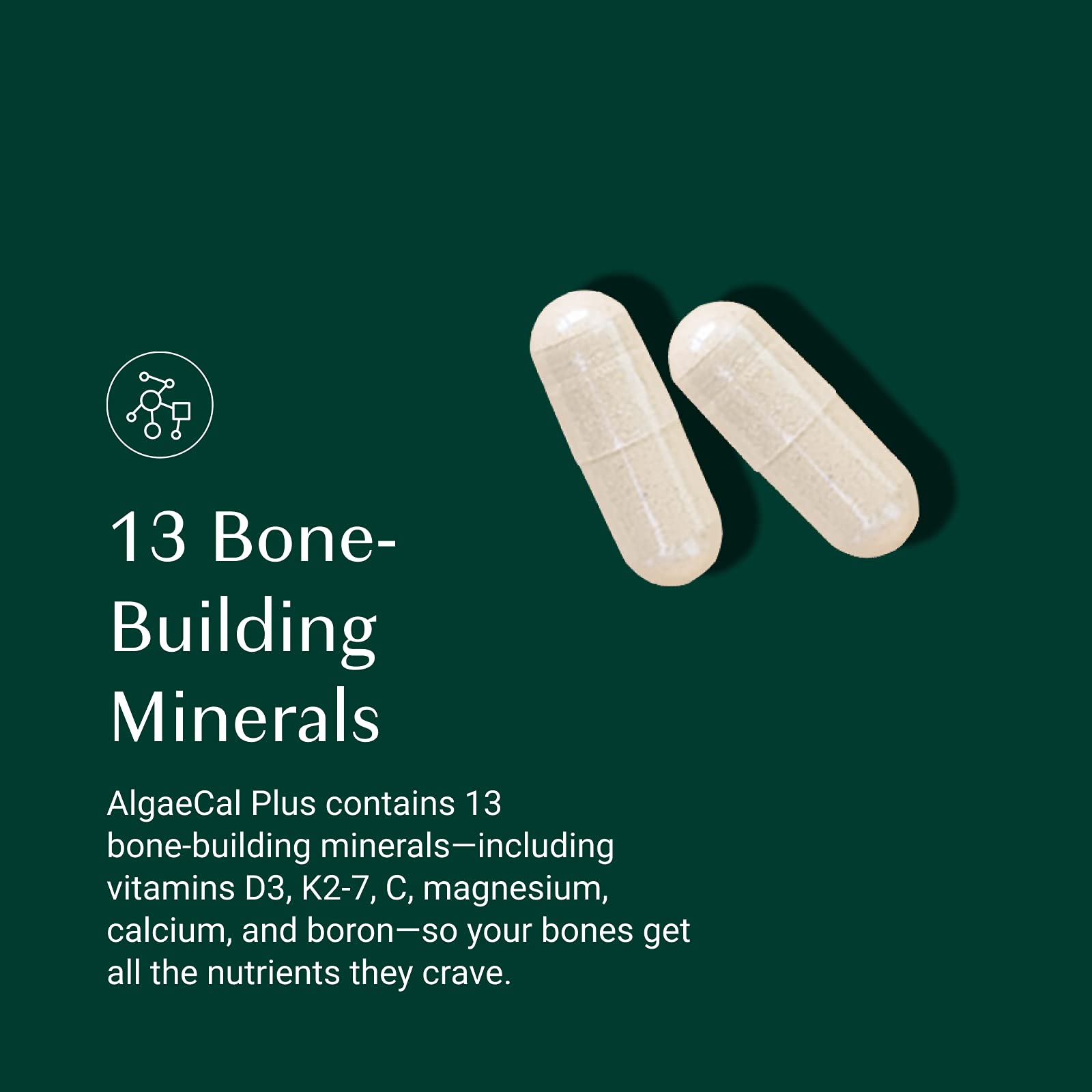 Buy AlgaeCal Plus - Calcium Supplement, Natural Red Algae Plant-Based ...